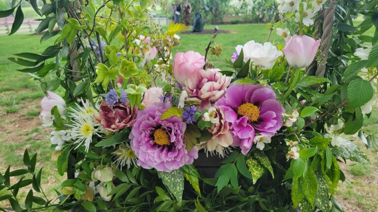 Home Page - Garden Club of Virginia