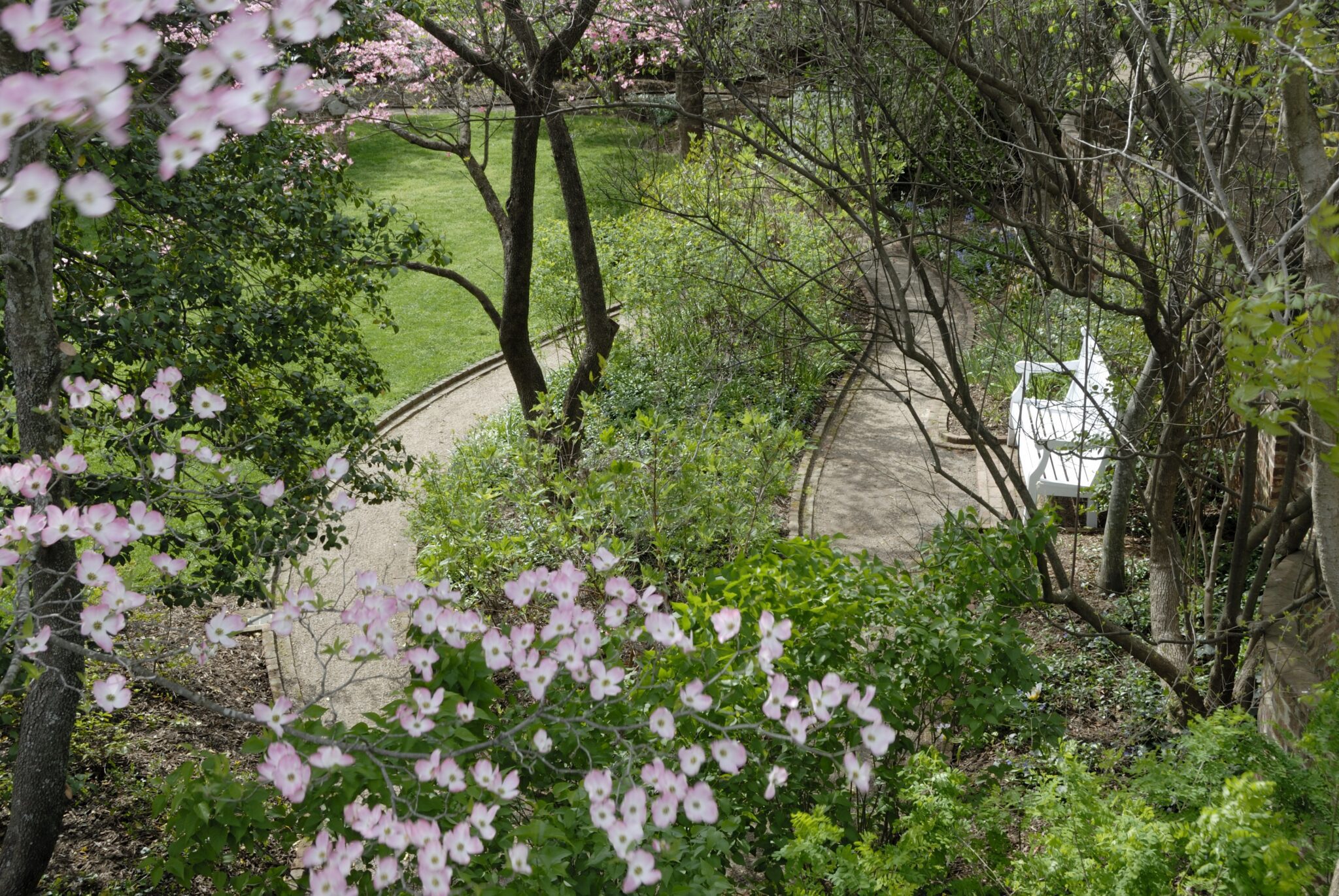 Albemarle-Charlottesville - Garden Club of Virginia